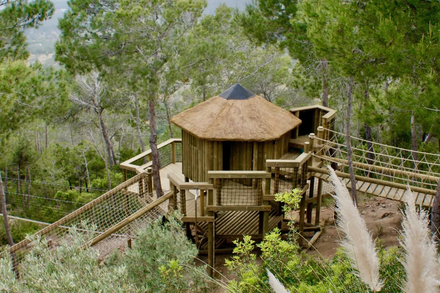 Best Bespoke Tree-House Builders